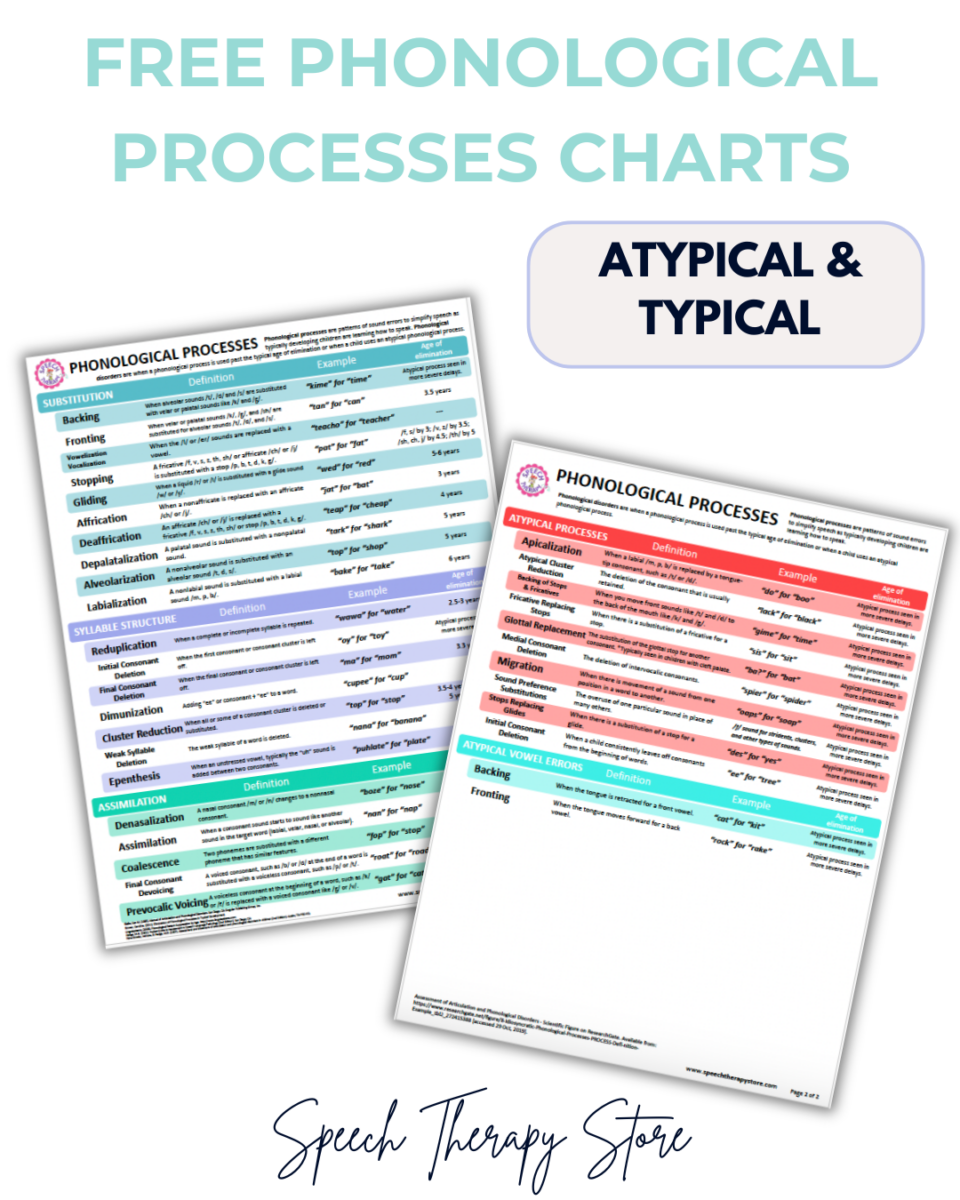 The Best Handout for Phonological Processing Disorder Therapy - Speech ...