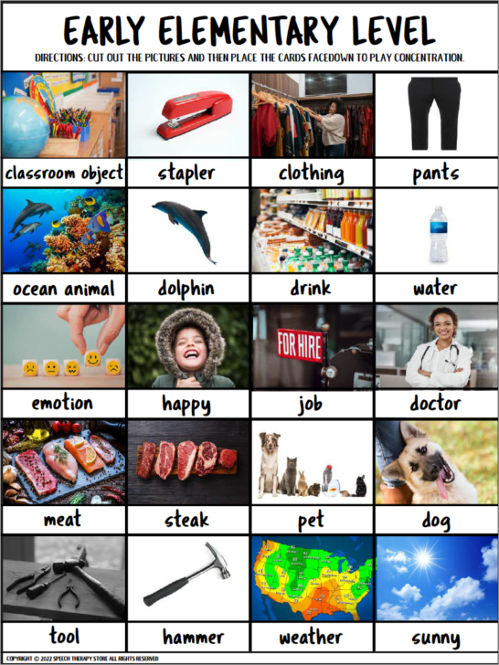 141+ Categories for Concentration {Free Printables!} - Speech Therapy Store