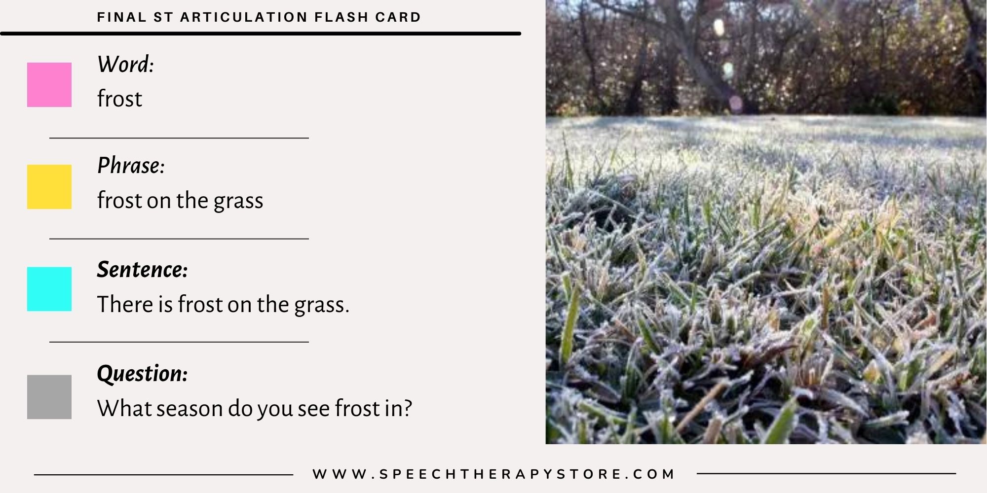 85 Final ST Words For Speech Therapy Word Blends Lists Speech 85 Final ST Words For Speech Therapy Word Blends Lists Speech