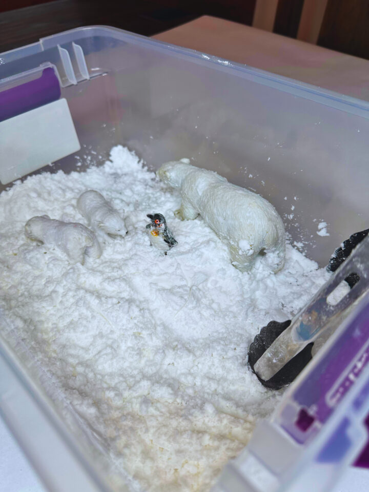 Arctic Animal Sensory Bin Speech Therapy - Speech Therapy Store