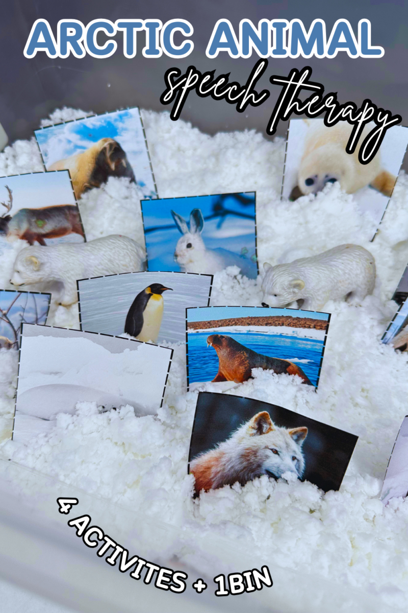 Arctic Animal Sensory Bin Speech Therapy - Speech Therapy Store