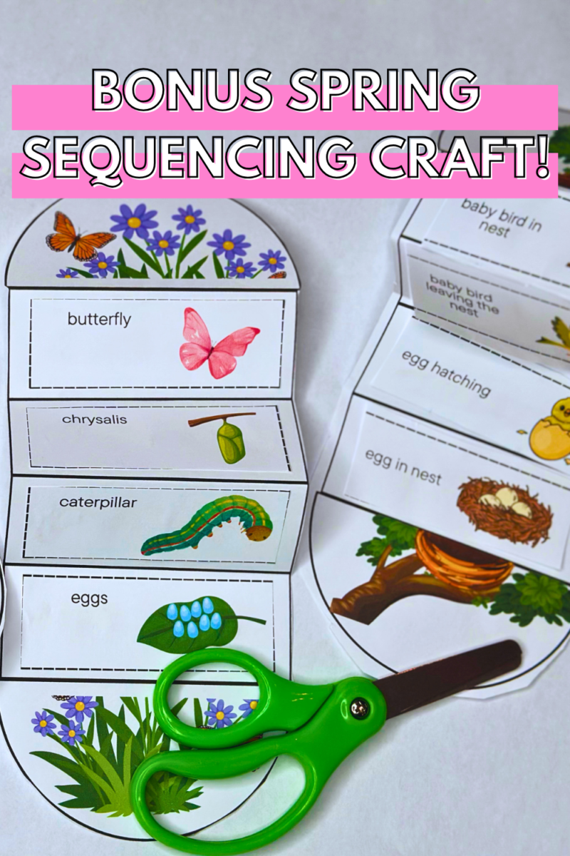 The Best Spring Sensory Bin Ideas for Speech Therapy - Speech Therapy Store
